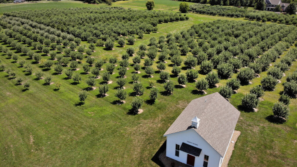 Funding Your Orchard | AGValue Consulting